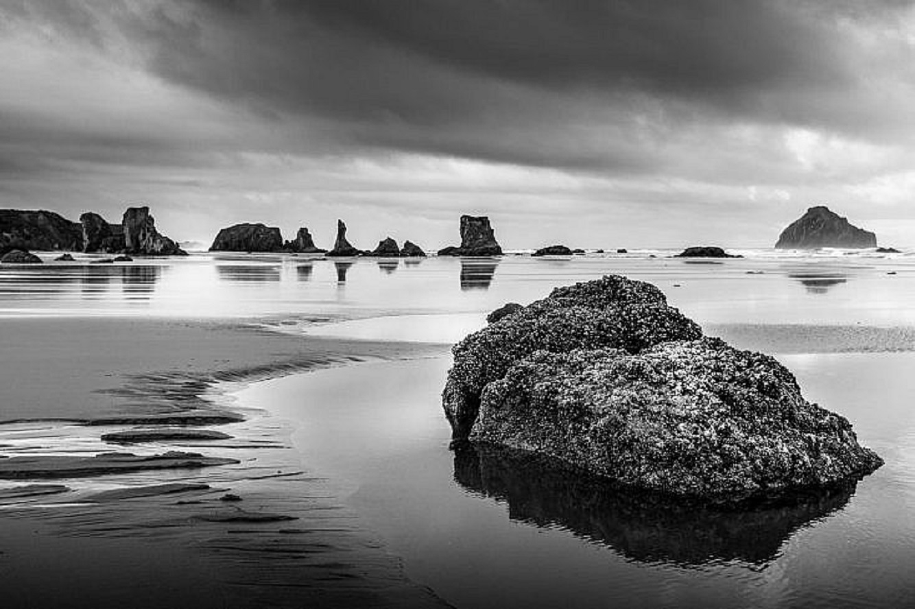 El Virus Nipah Que Es El Amor